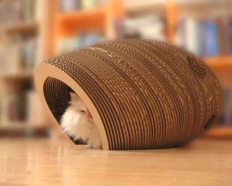 Cocoon playhouse for your kitten | Velvet Cushion